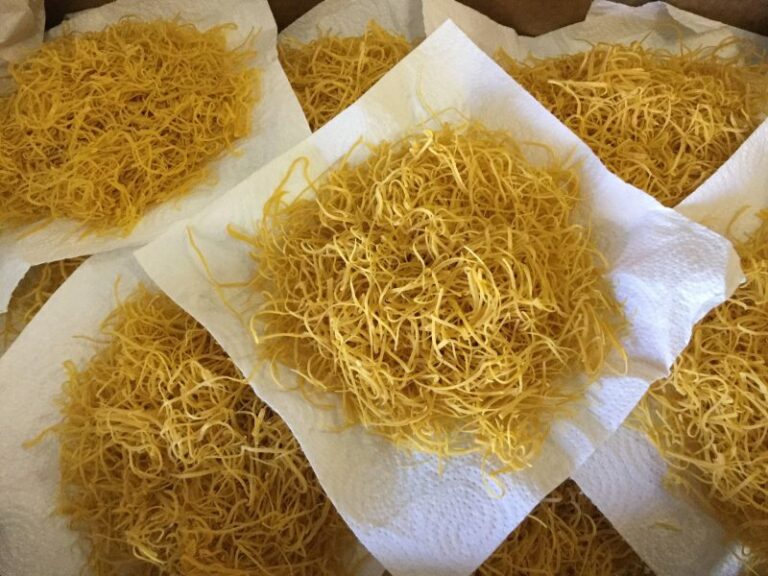 Maccarone di Canepina (Fieno Tradizionale) - Agriristoro il calice e la ...